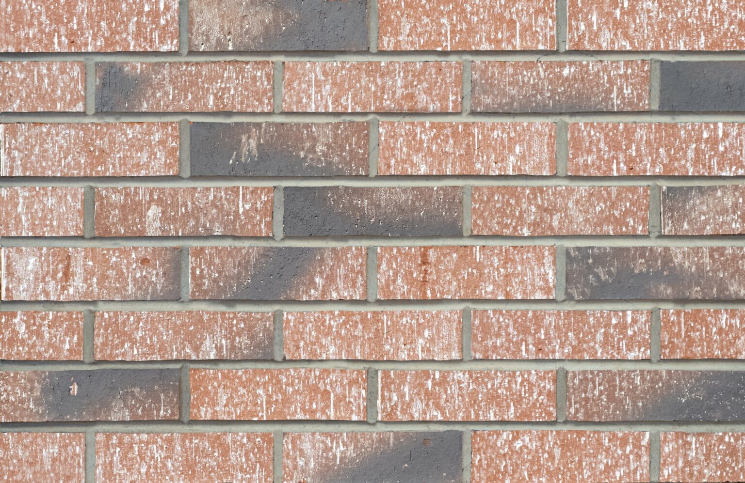 NC Wirecut State + Blackson Brick Co.